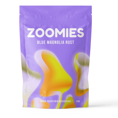 Blue Magnolia Rust - Dried Shrooms