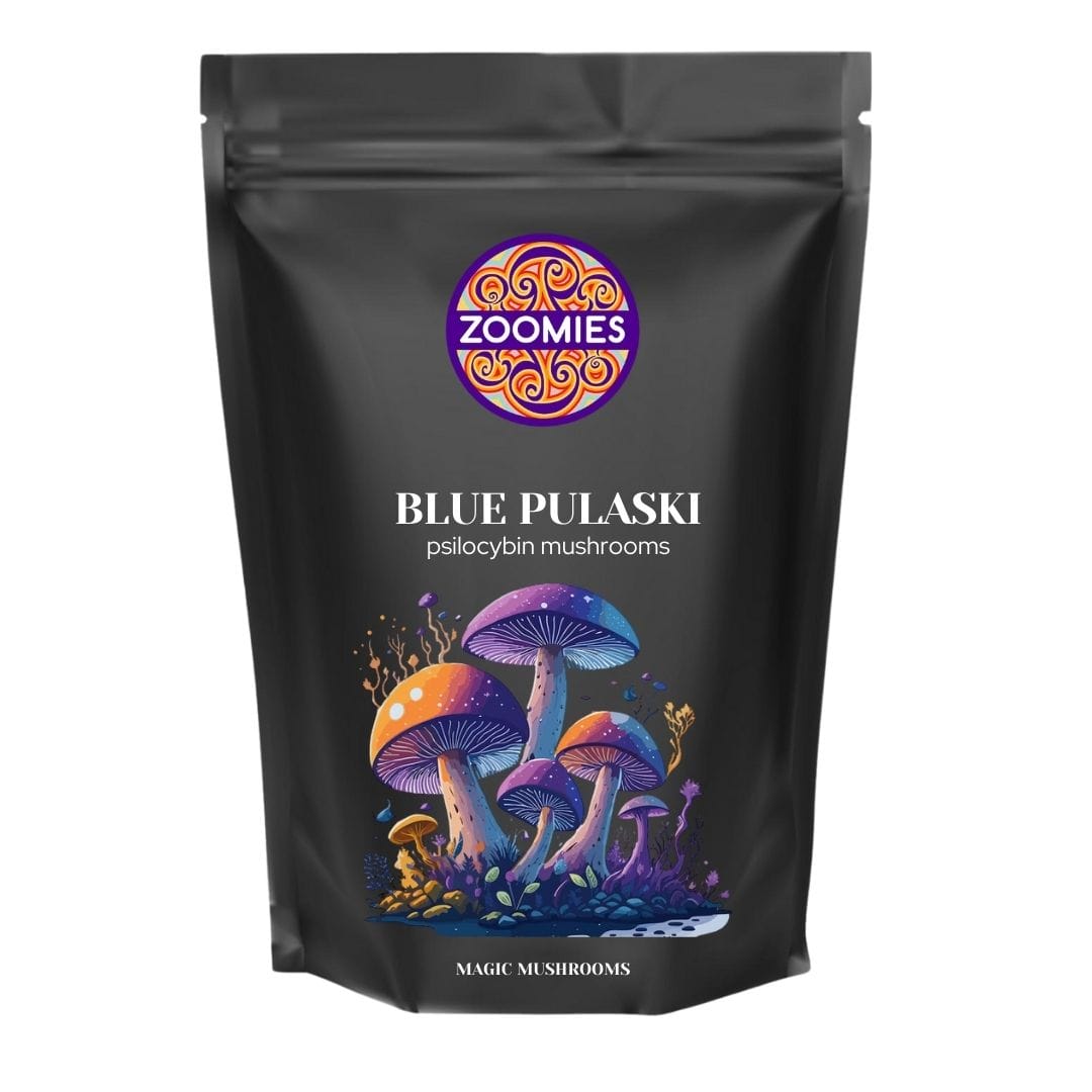 Buy Blue Pulaski (Hybrid) - Zoomies Canada