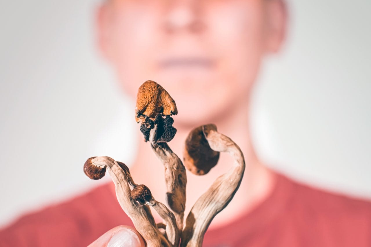 Unlocking Joy: Fun Things to Do on Shrooms