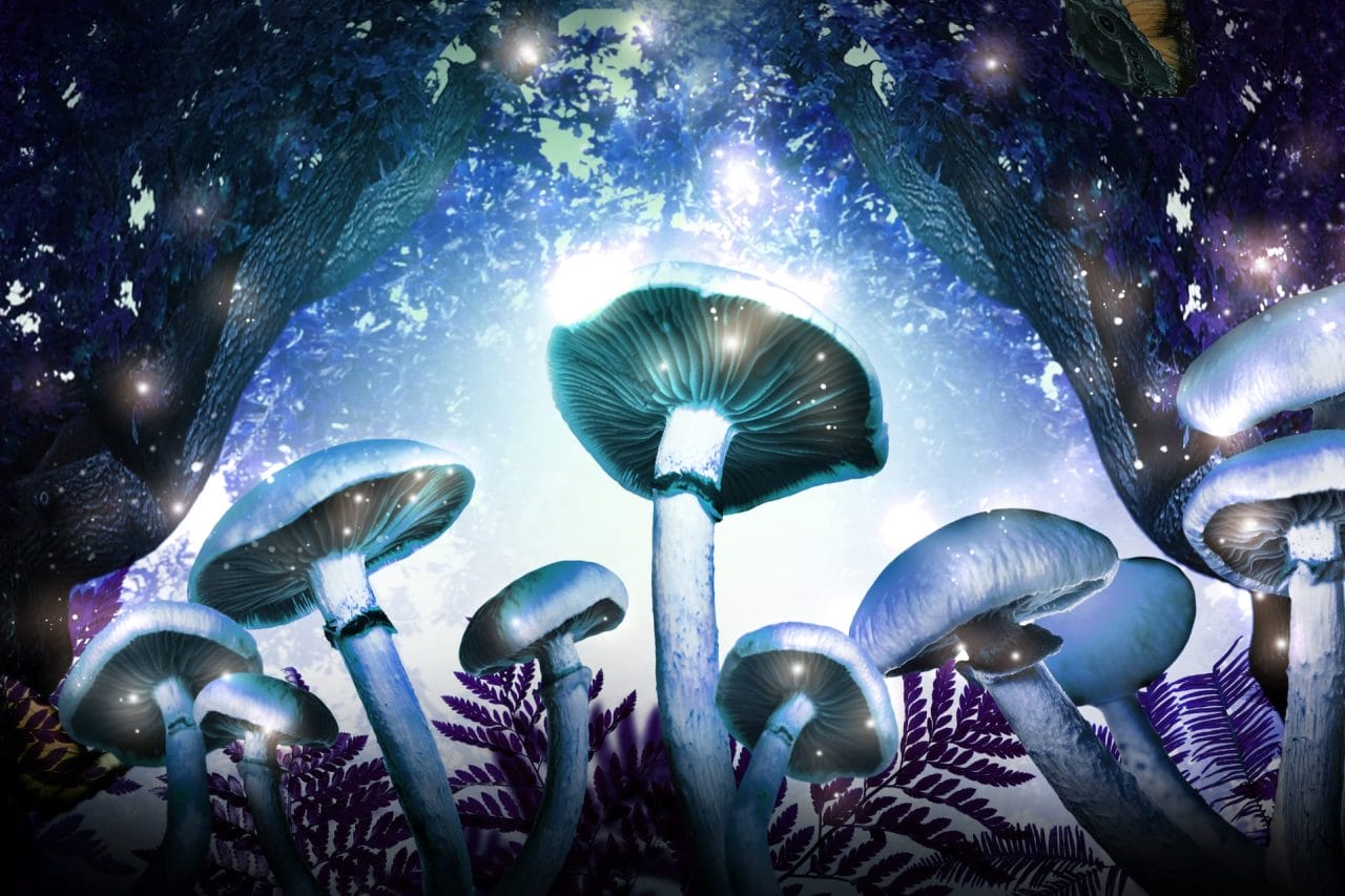 Unlocking Joy: Fun Things to Do on Shrooms